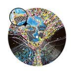 VinylArt Co - Custom Picture Disc Vinyl Recordings + Frames